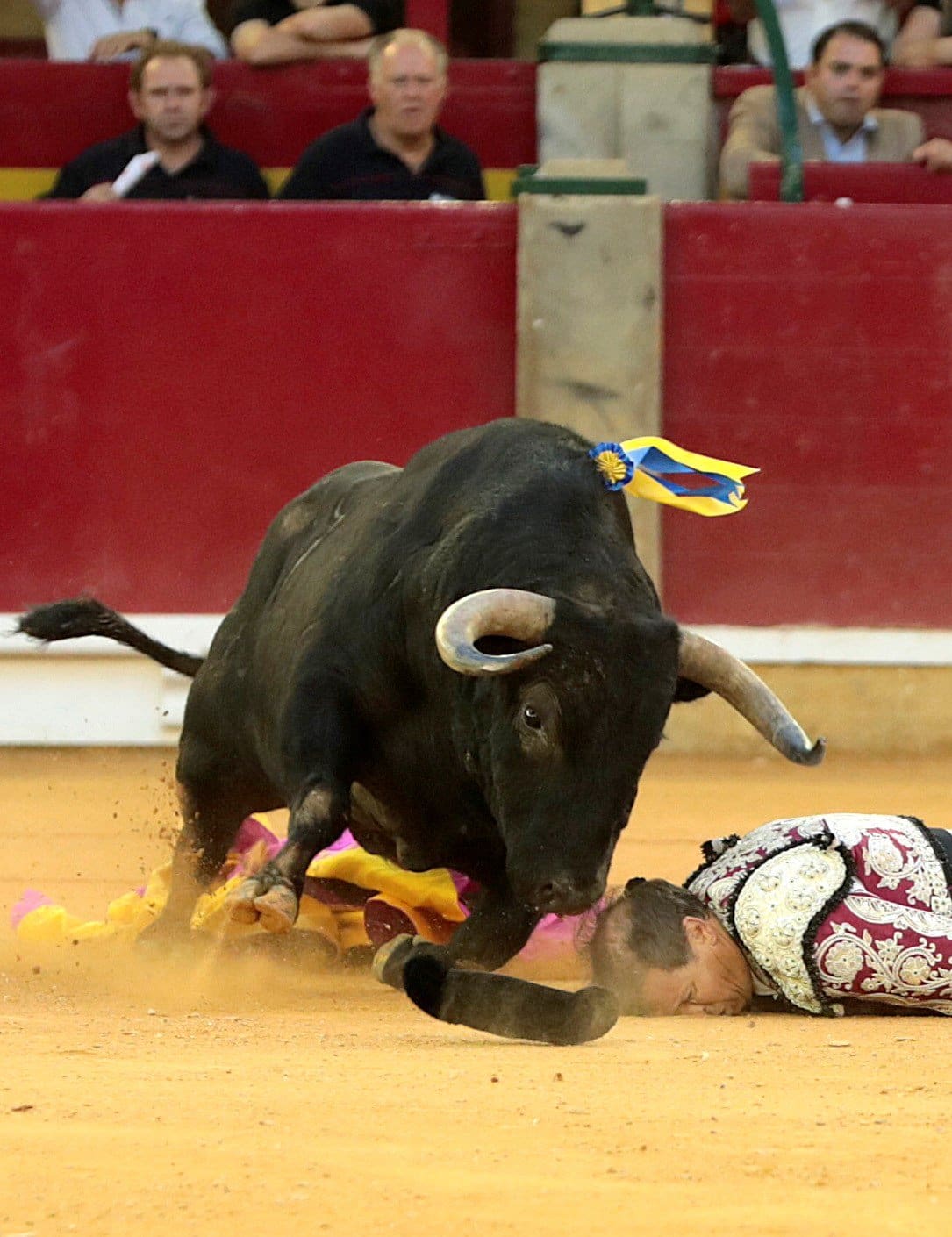 Bullfighter Clinging To Life After Being Gored By Bull | Wildest