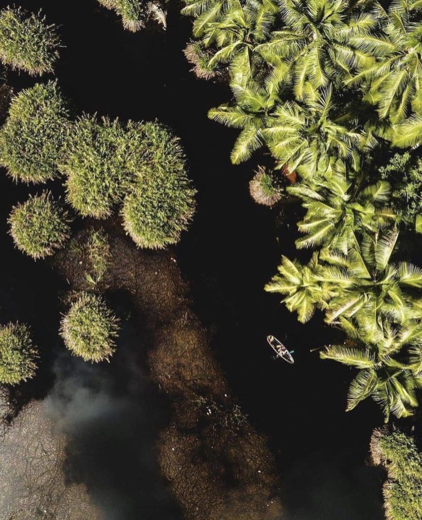 19 Things to do in the Seychelles - North Island | Wildest