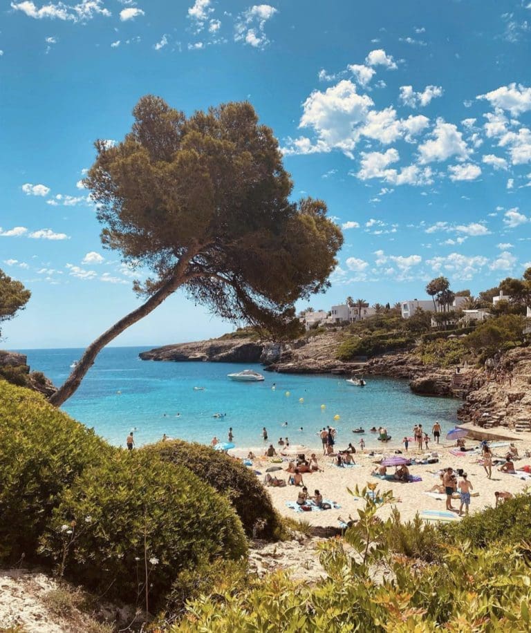 Discover The 17 Best Beaches on Mallorca | Wildest