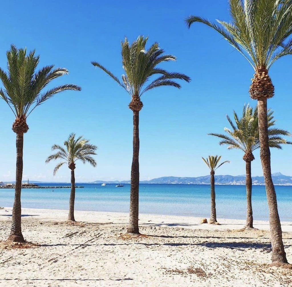 Discover The 17 Best Beaches on Mallorca | Wildest