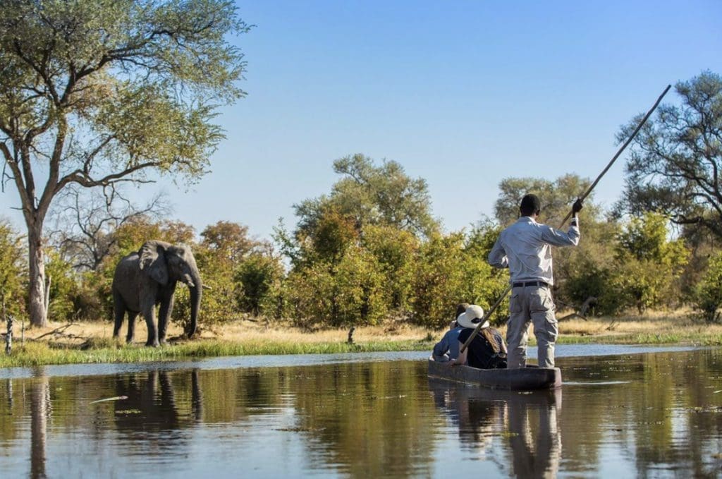 The Ultimate Guide to the Okavango Delta: A Journey into Untamed ...