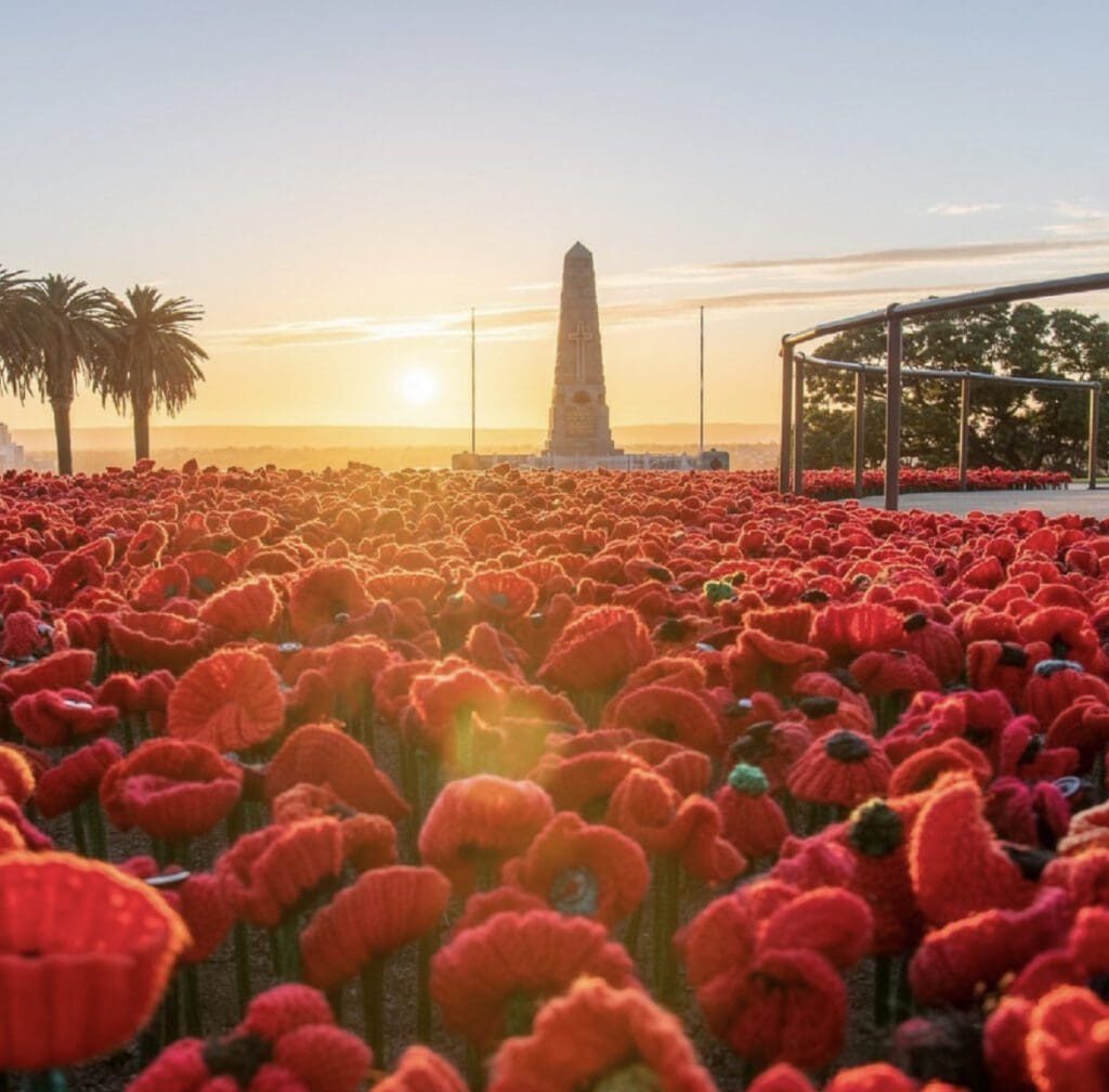 18 Of The Best Things To Do In Perth, Australia | Wildest