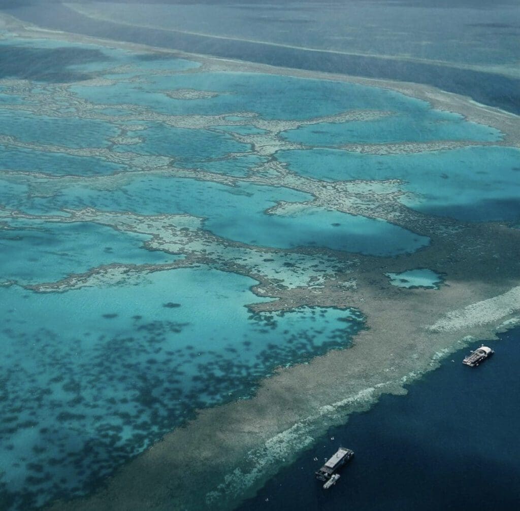 The Best Time to Visit the Great Barrier Reef | Wildest