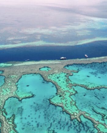 The Best Time to Visit the Great Barrier Reef | Wildest