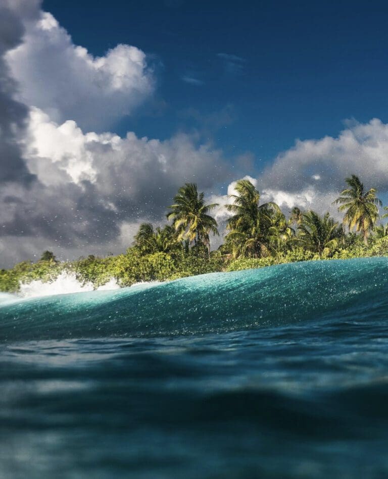 Your Guide To Moorea Island in French Polynesia | Wildest