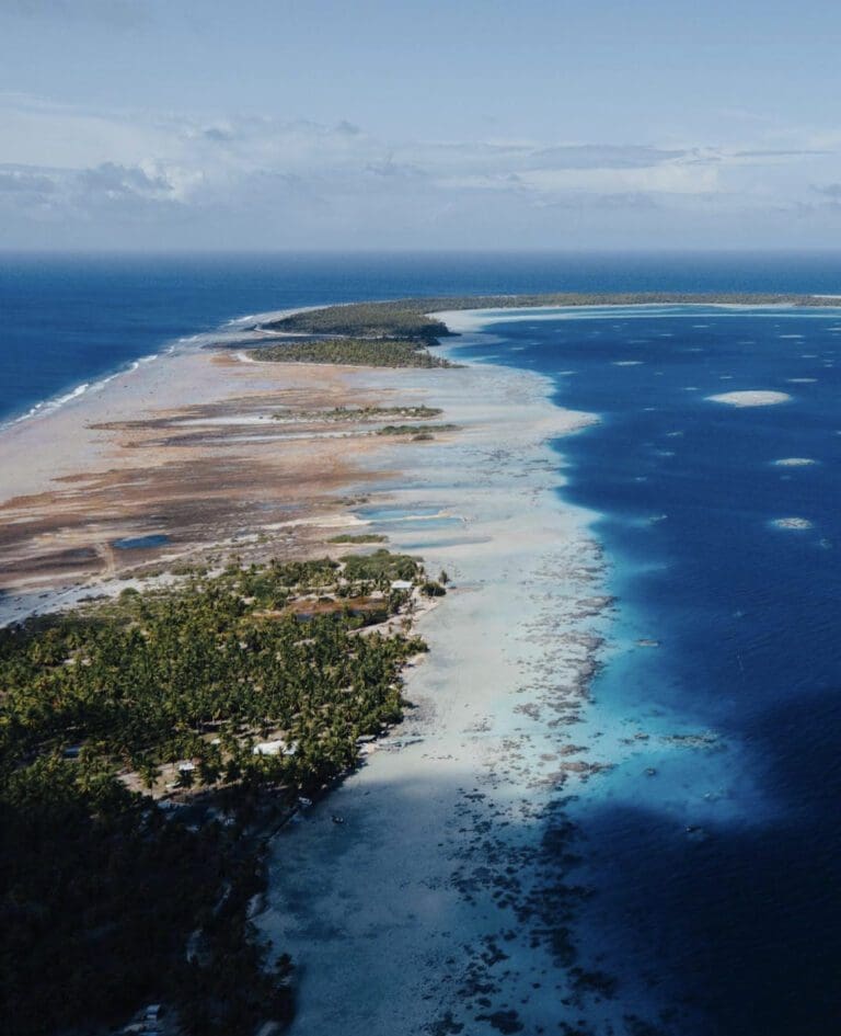 The 10 Best Places To Scuba Dive In French Polynesia | Wildest