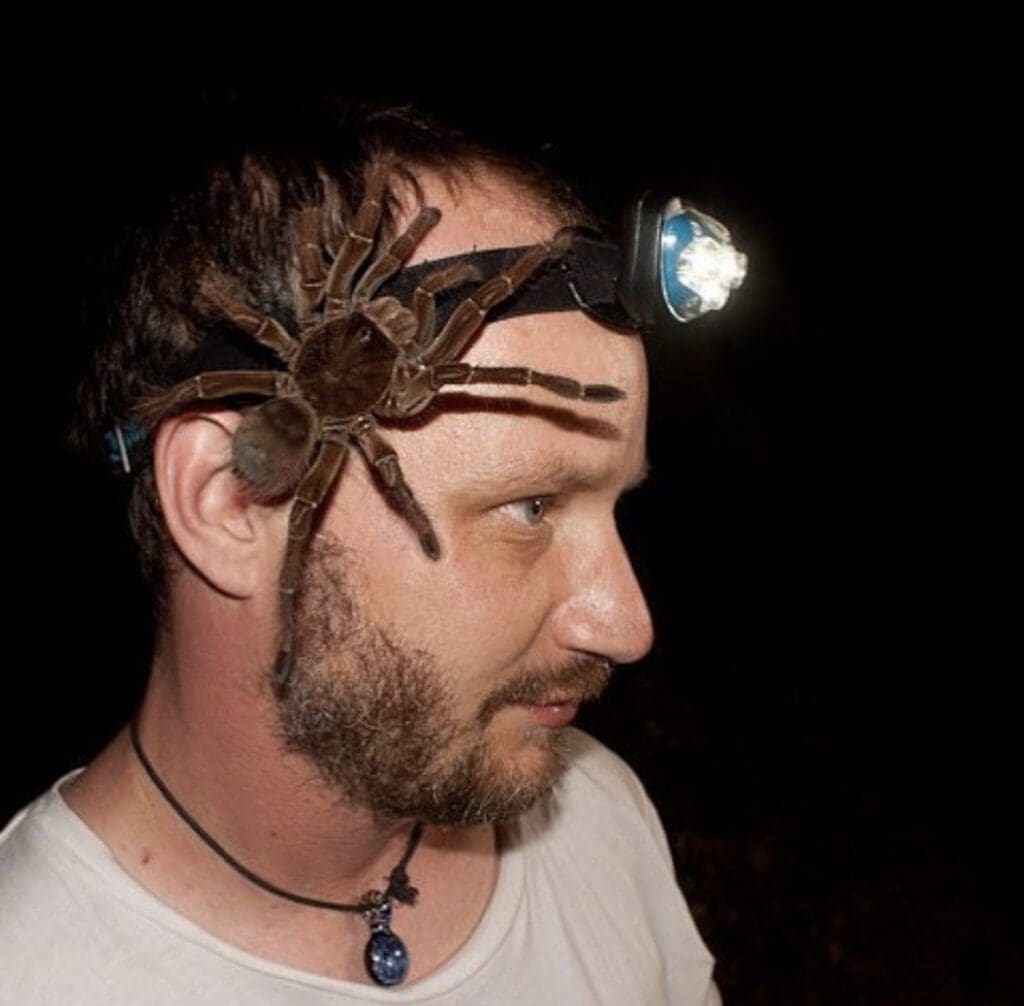 Get To Know The Goliath Birdeater Spider | Wildest