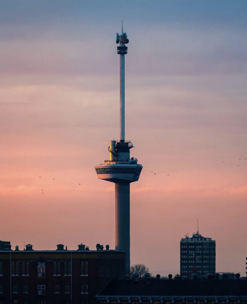 The 15 Best Things To Do In Rotterdam | Wildest