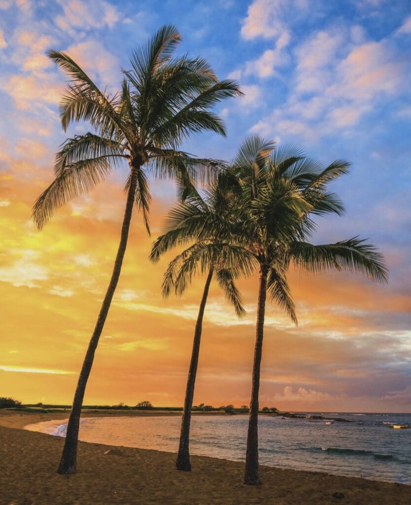 15 Nice Beaches In The US | Wildest