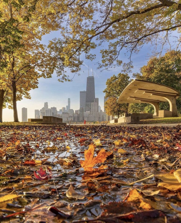 The Weather in Chicago, US - What to Do All Year | Wildest