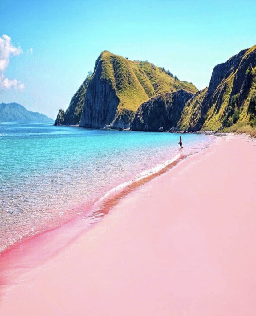 The Most Beautiful Pink Beaches in Indonesia | Wildest