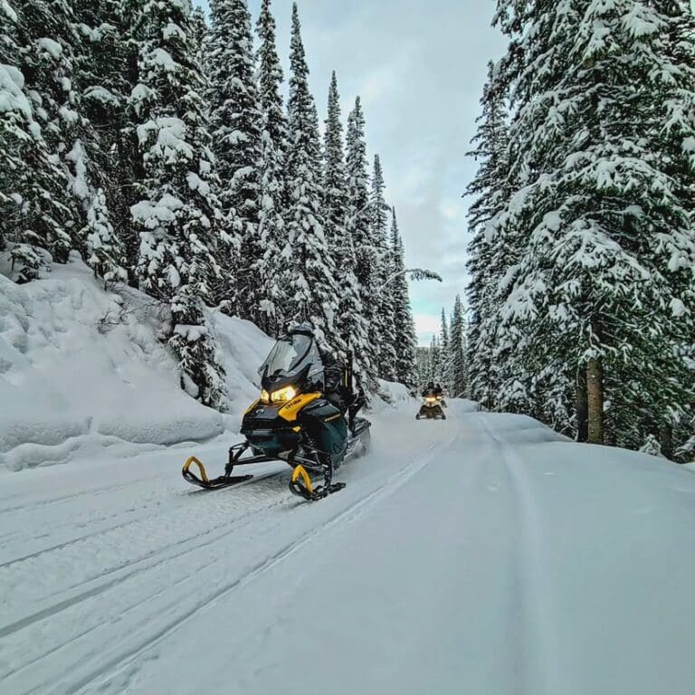 The 10 Best Outdoor Activities For Winter | Wildest