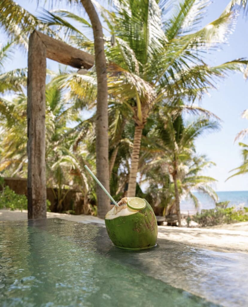 15 Exceptional Luxury Hotels In Tulum | Wildest