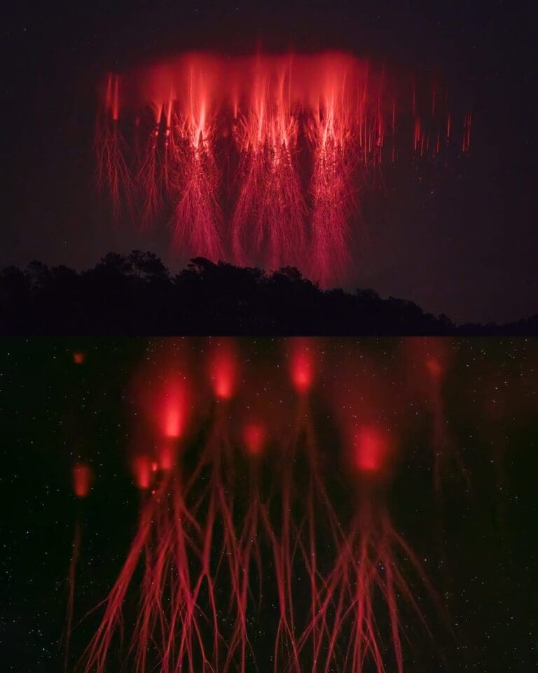 Red Sprites: A Closer Look at the Phenomenon | Wildest